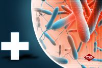 Cólera: Causas, Sintomas e Prevenção - Farmácias MonizSilva