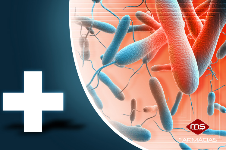 Cólera: Causas, Sintomas e Prevenção - Farmácias MonizSilva